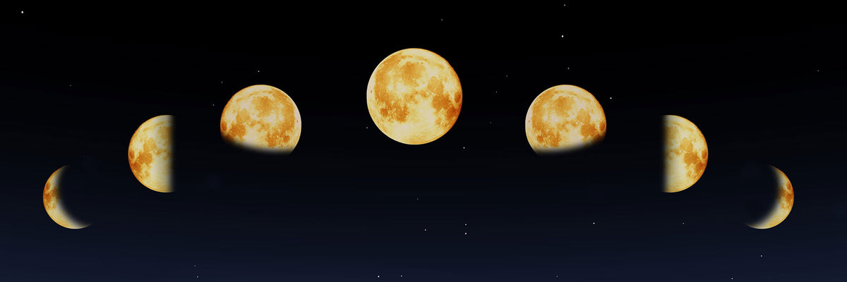 Lunar Hair Chart: Why Some Dates Don’t Match – Morrocco Method ...